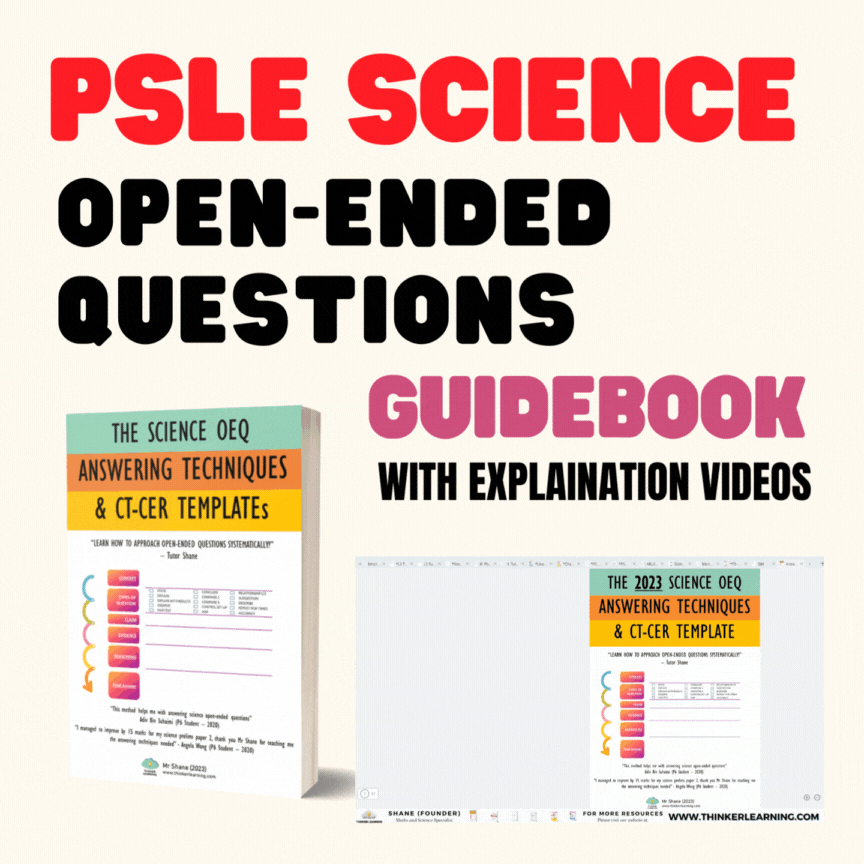 Open Ended Answering Techniques Booklet - 2024