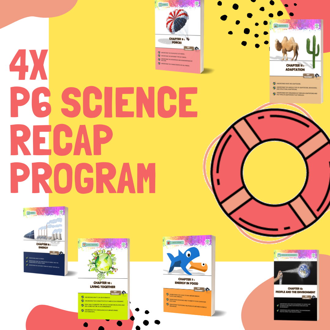 7 Days - Primary 6 Science Mastery Course