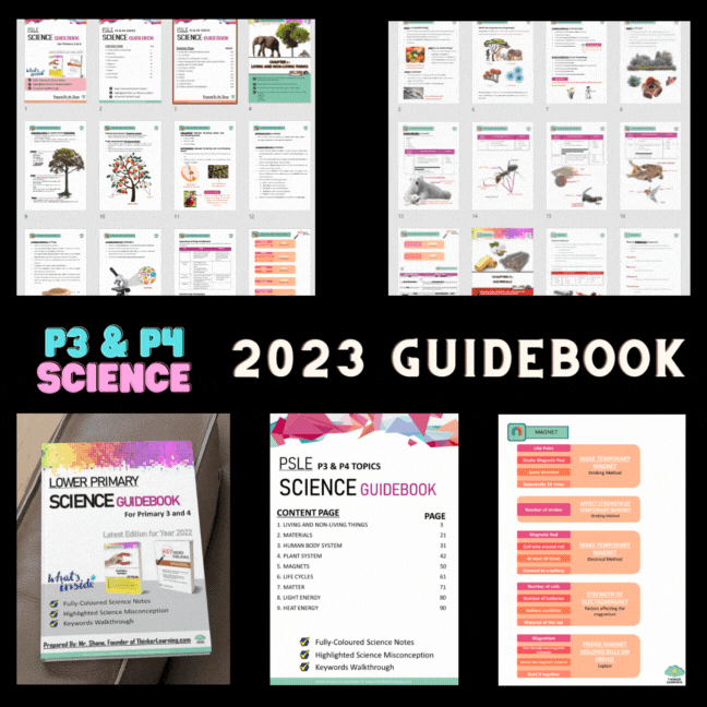 P3 And P4 Science Guidebook 2023 Edition