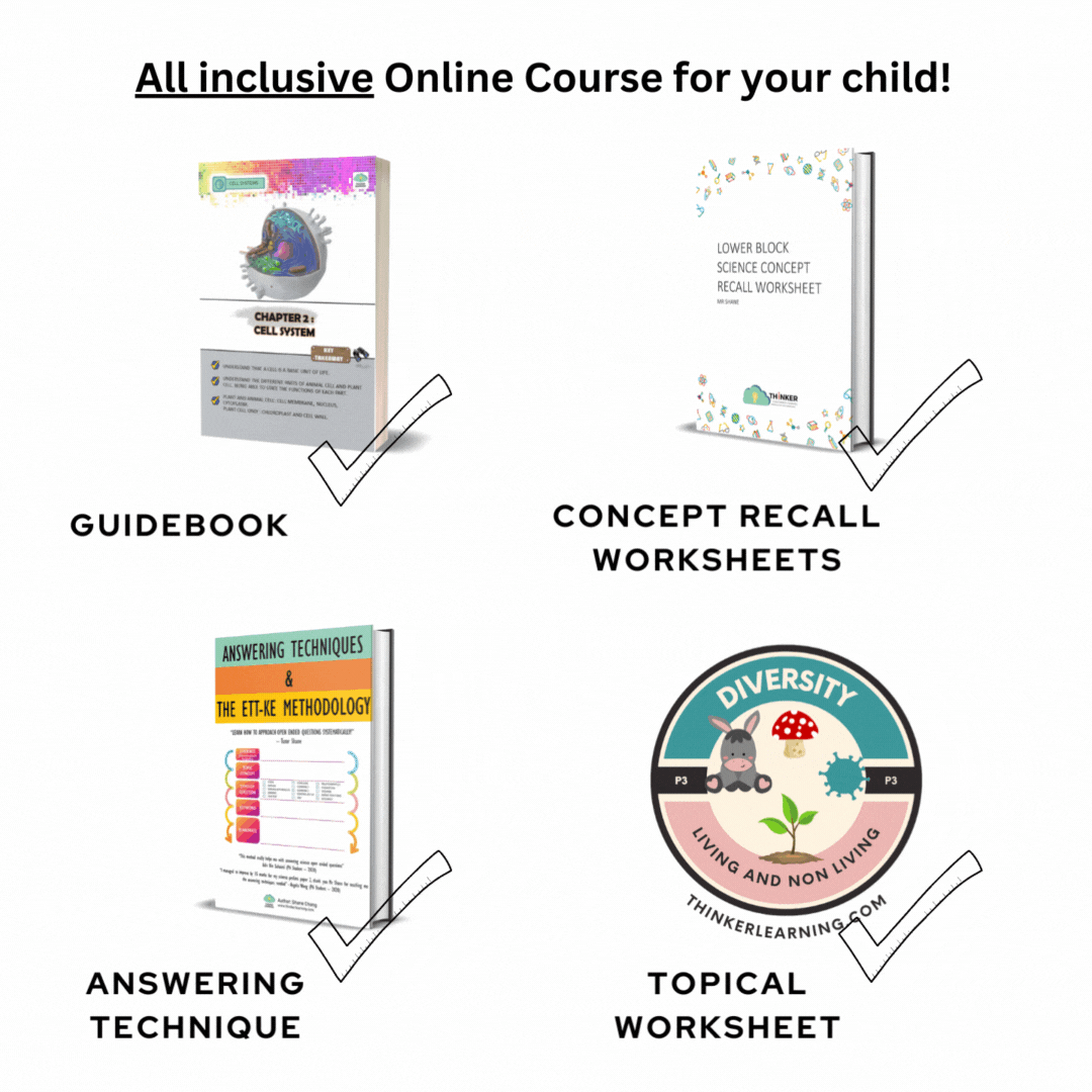 Science Thinker Learning