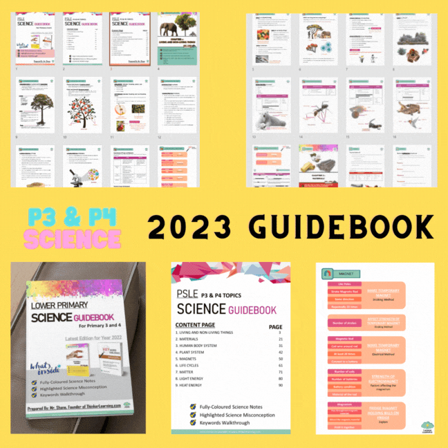 P3 and P4 Science Guidebook - 2023 Edition